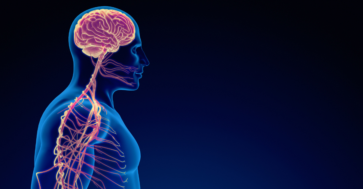 Which Vitamin B Is Best for Nerve Repair — Core Med Science