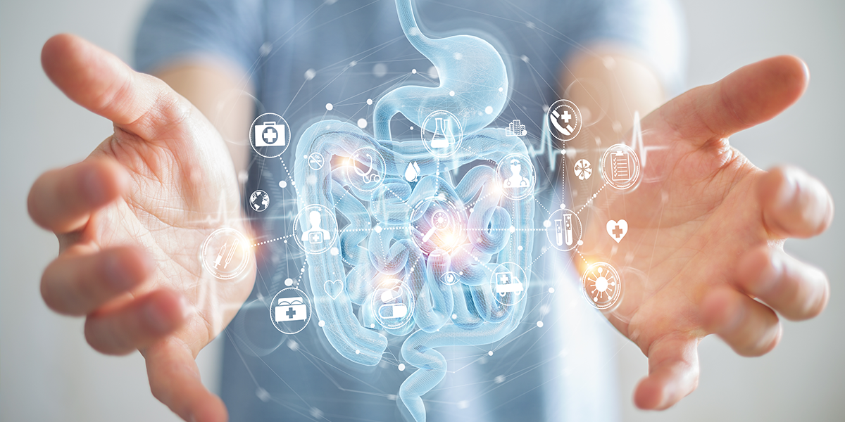 How to Heal Gut Microbiome Activity with Berberine — Core Med Science